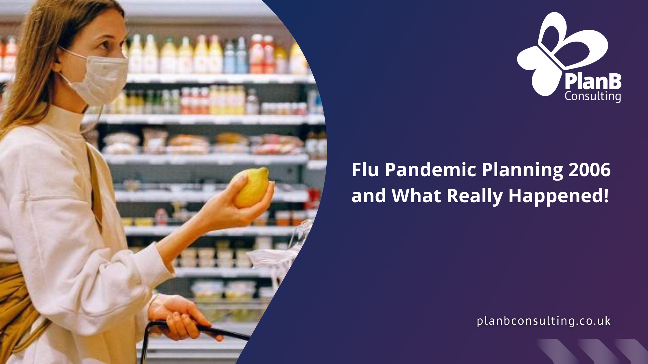 Flu Pandemic Planning 2006 and What Really Happened! | PlanB Consulting