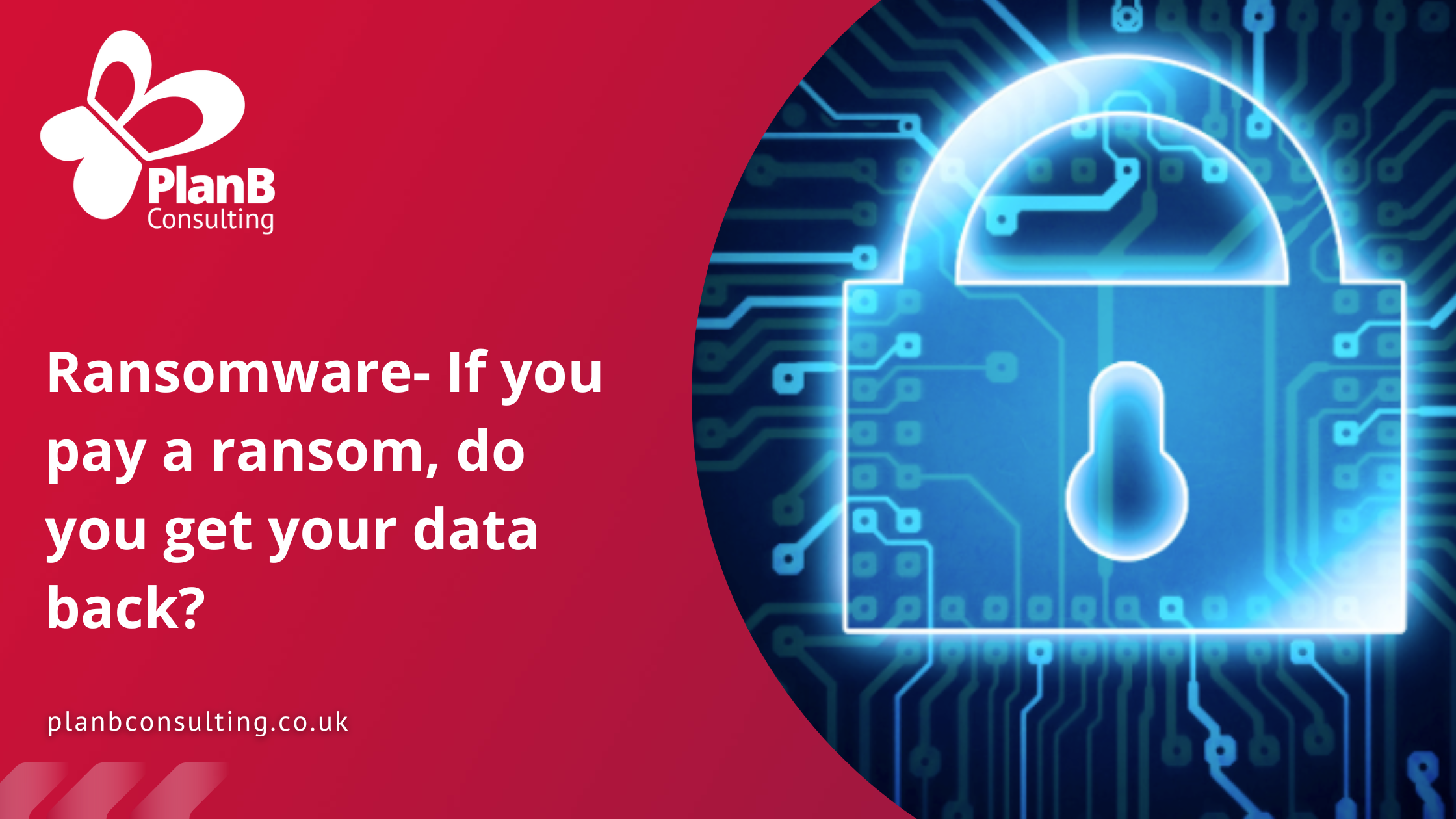 Ransomware - If you pay a ransom, do you get your data back? | PlanB ...