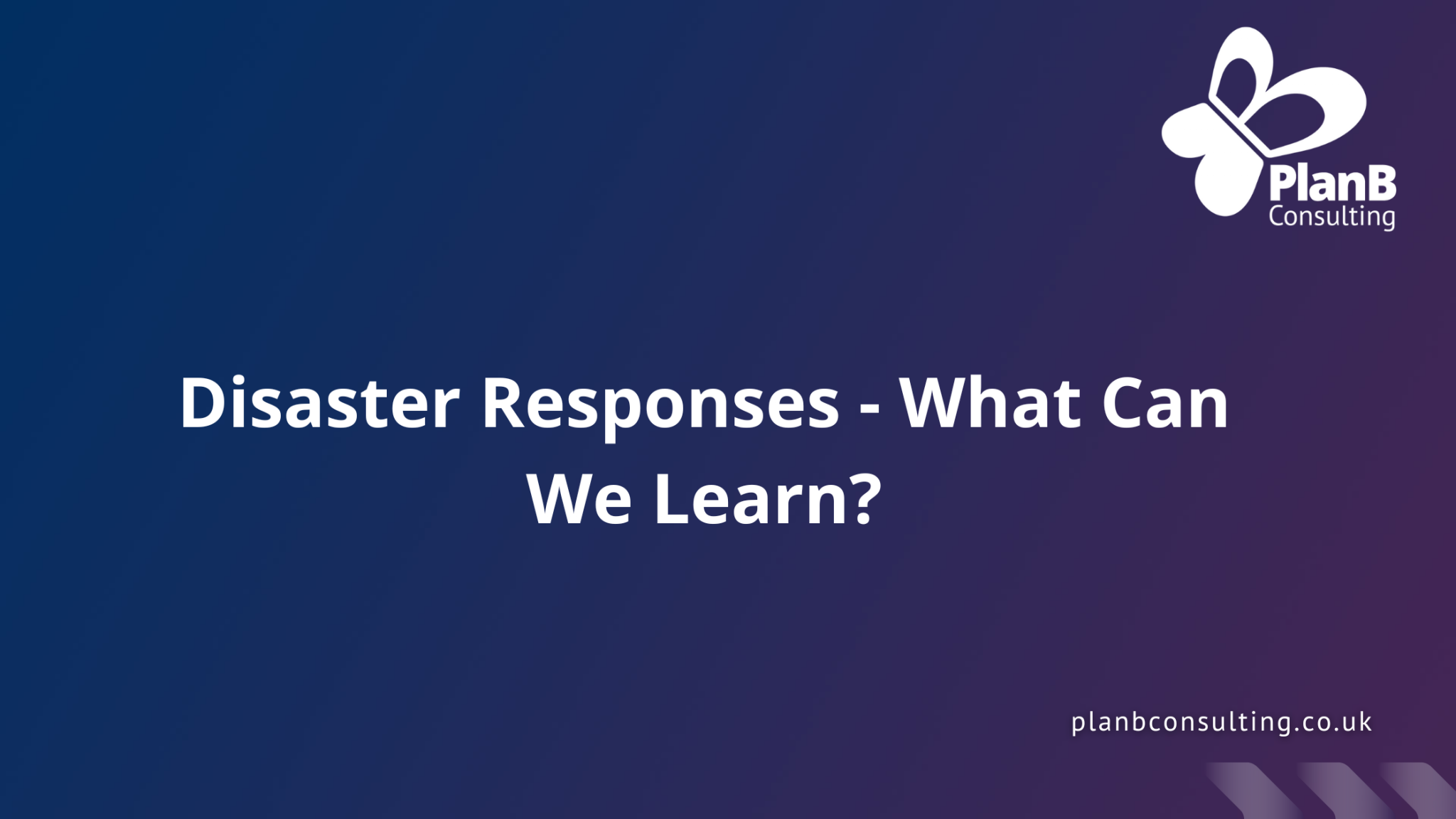 Disaster Responses - What Can We Learn? | PlanB Consulting